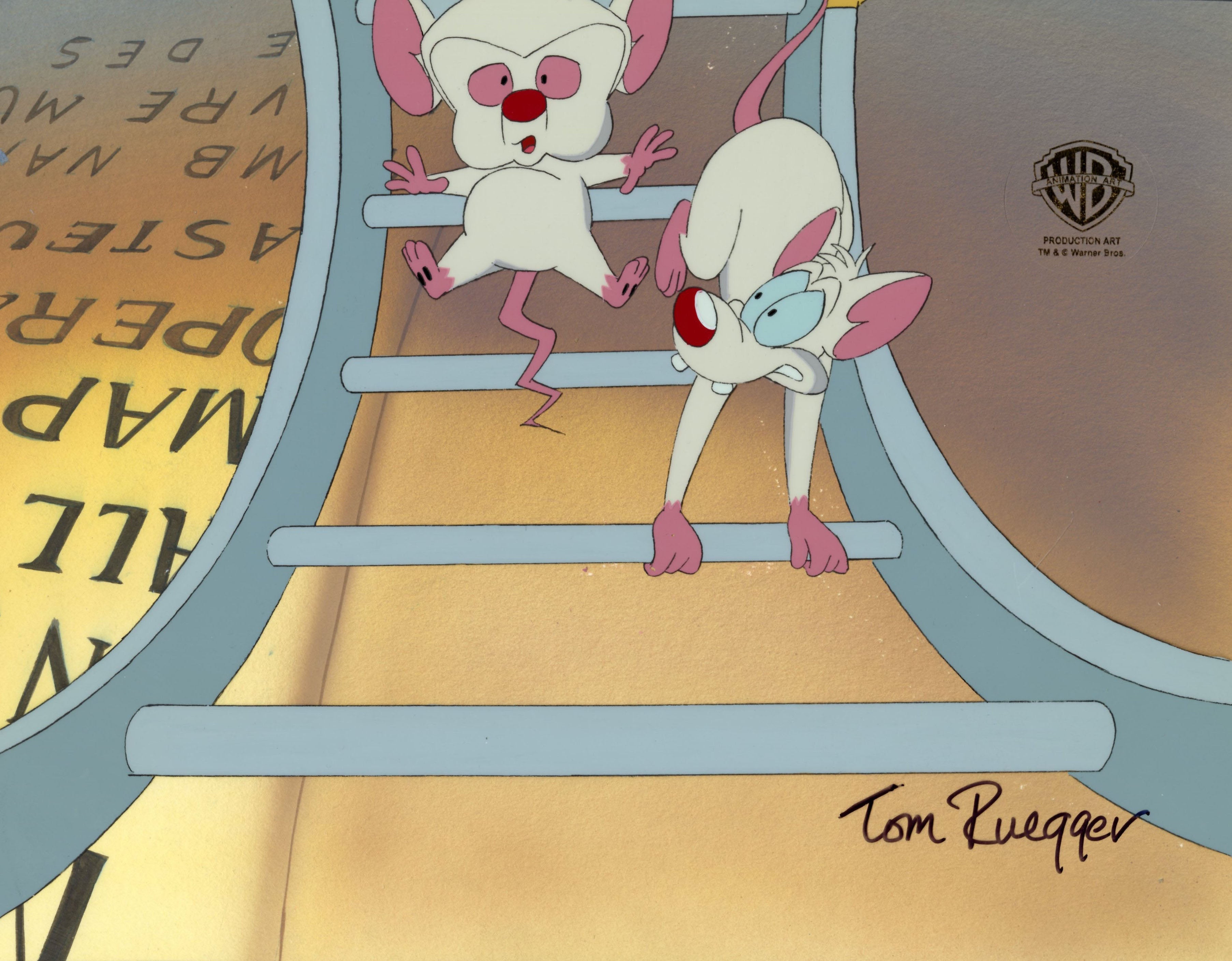 Pinky And The Brain Original Production Cel on Original Background Sig ...