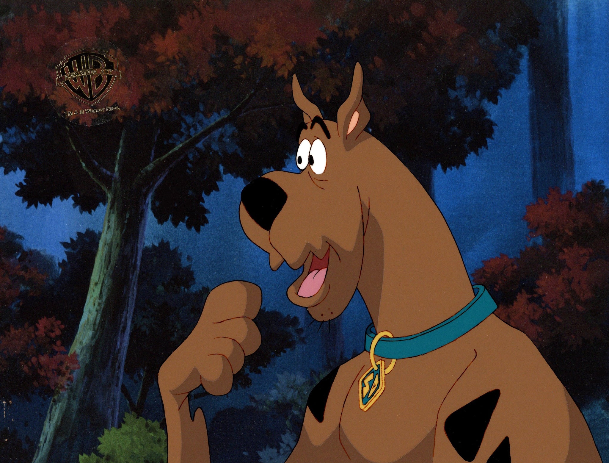 Scooby-Doo and the Witch's Ghost Original Production Cel With Matching ...