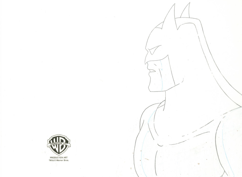 Batman The Animated Series Original Production Cel Signed by Kevin Alt ...
