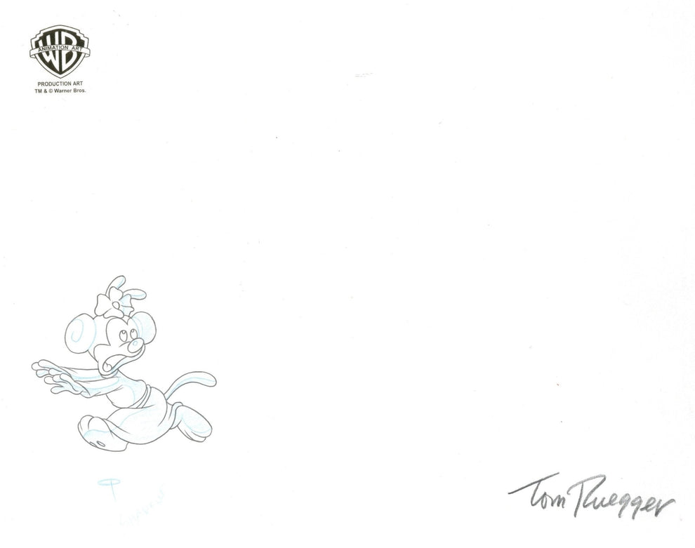 Pinky and the Brain Original Production Cel and Drawing Signed by Tom ...